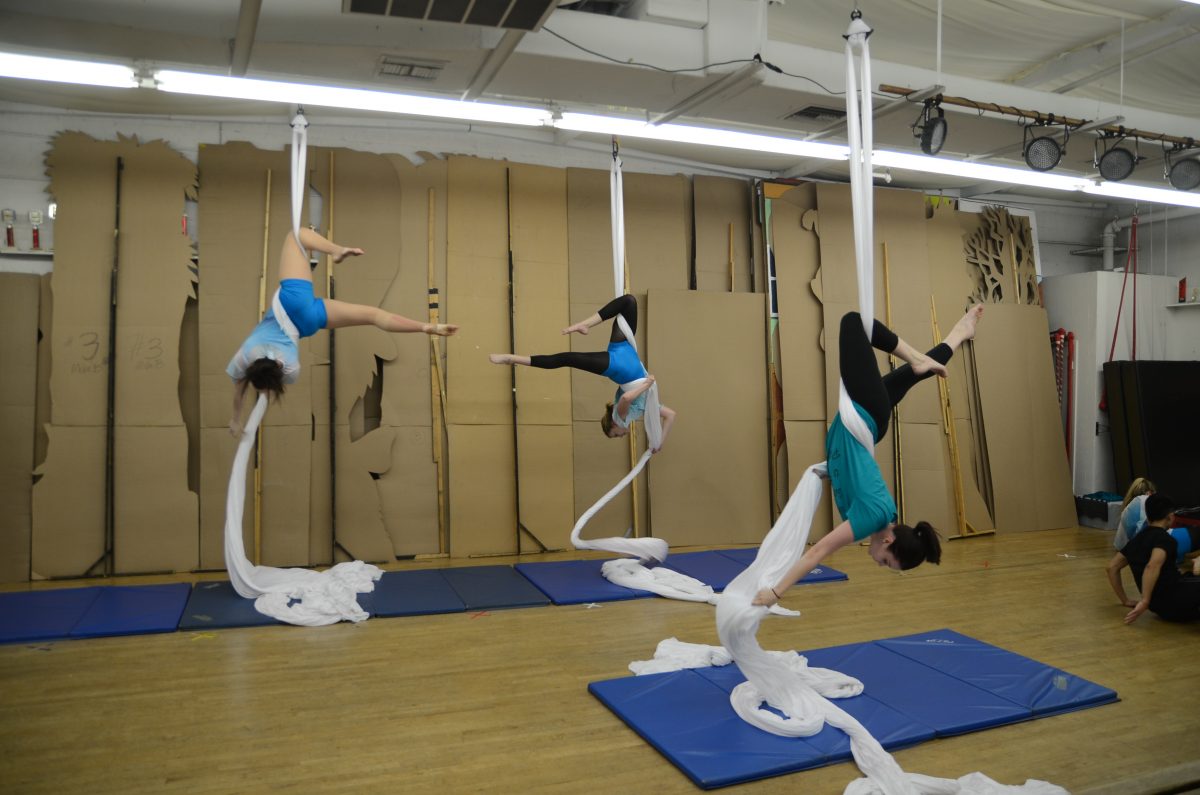 Aerial Classes - TheDanceShoppeAZ.com